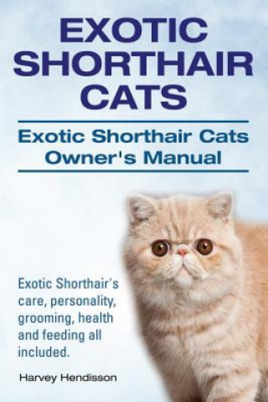 Exotic Shorthair Cats. Exotic Shorthair Cats Owners Manual. Exotic ...