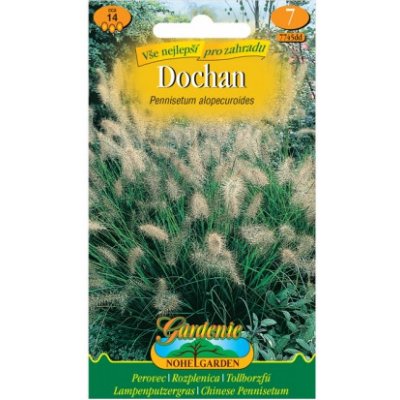 Dochan psárkovitý, okrasná tráva od 35 Kč - Heureka.cz