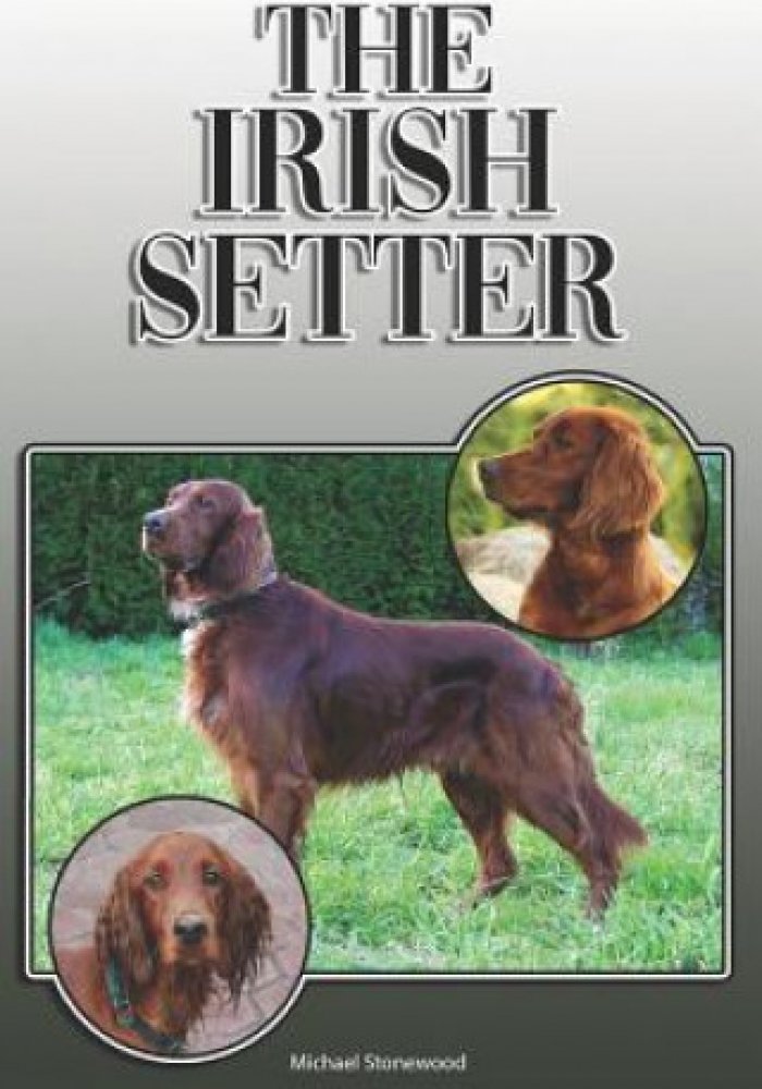 The Irish Setter: A Complete and Comprehensive Owners Guide To: Buying ...