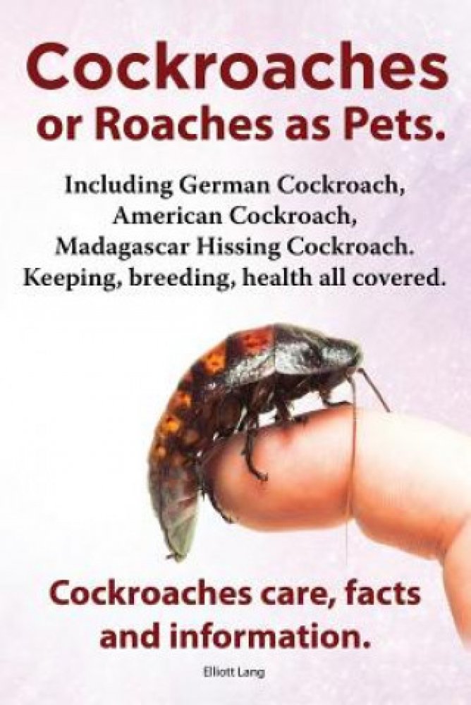 Knihy – Cockroaches as Pets. Cockroaches care, facts and information ...