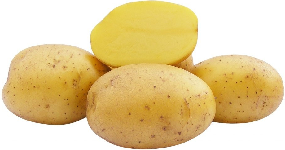 Sadba brambor MADEIRA (pytel 25kg) od 545 Kč - Heureka.cz