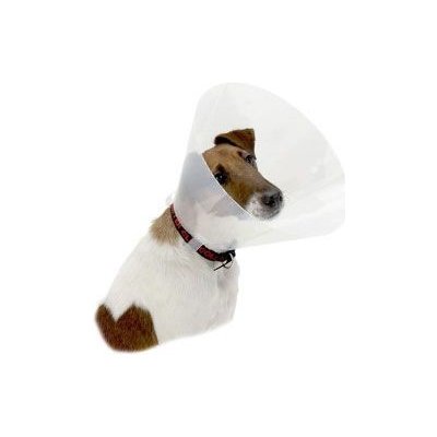 Kruuse Buster Clic Collar Plastový ochranný límec 35 cm od 374 Kč ...