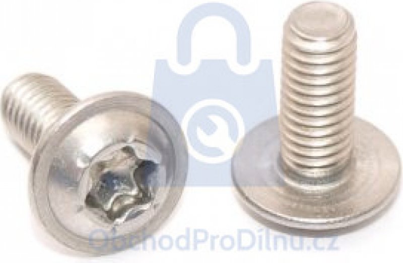 Šroub s půlkulatou hlavou, s drážkou TORX a podložkou AN 9084, nerez A2 M6 x 35, balení 1 ks od ...