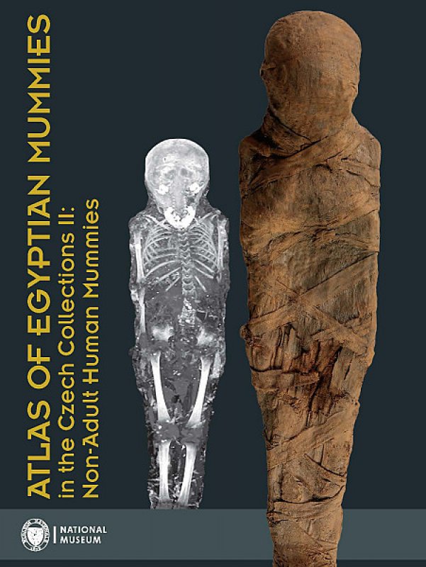 Atlas of Egyptian Mummies in the Czech Collections II: Non-Adult Human ...