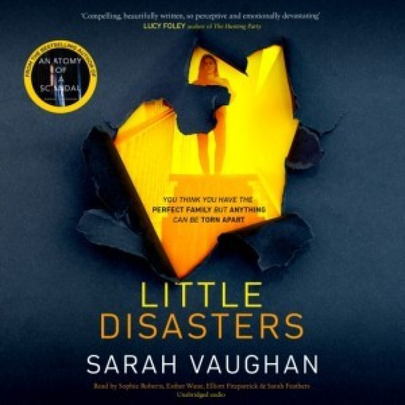 Little Disasters: the compelling and thought-provoking new novel from ...