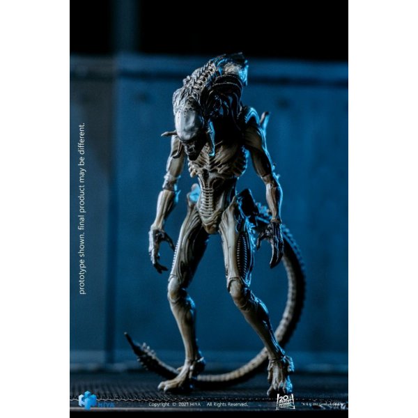 Hiya Toys Alien vs Predator 2 Predalien Previews Exclusive 11 cm od 1 ...