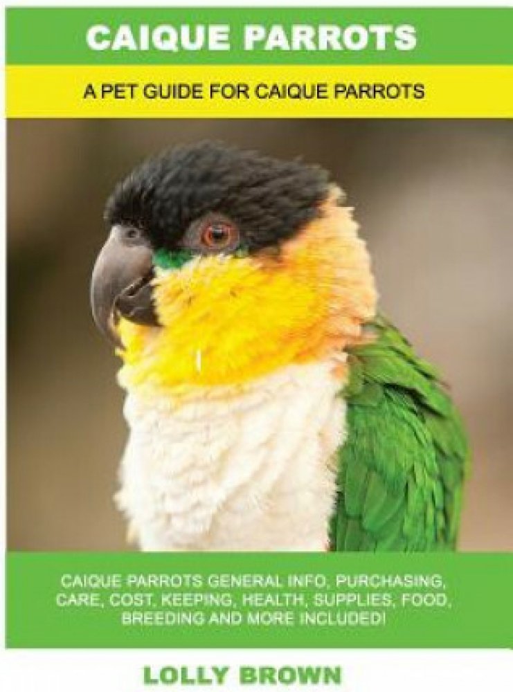 Caique Parrots: Caique Parrots General Info, Purchasing, Care, Cost ...