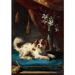 Reprodukce - Slavné obrazy XVII-71 Francesco Fieravino - Portrét psa ...