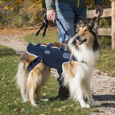 Balto Postroj na celé tělo pro psa S od 3 271 Kč - Heureka.cz