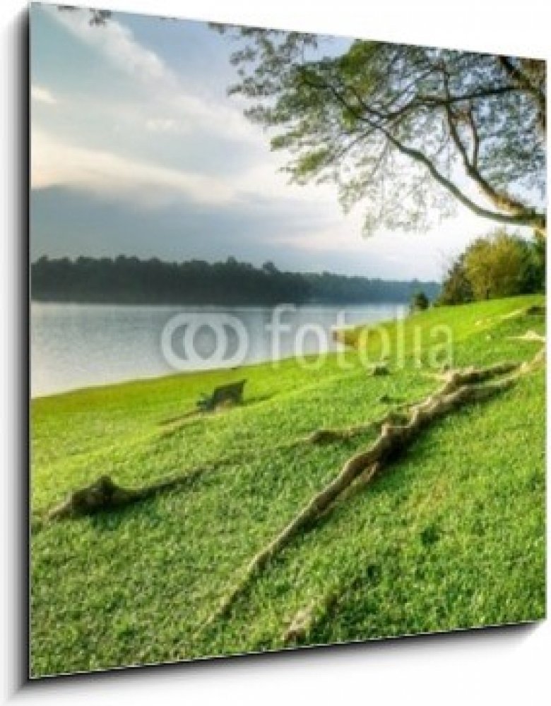Obraz 1D - 50 x 50 cm - Grassy Banks Under Large Tree at Sunset Trávové ...