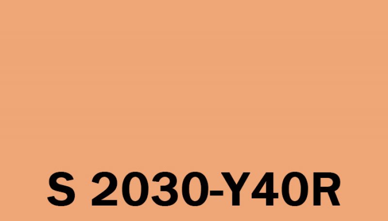 Het Mikral 100 Tónovaný NCS 5kg S 2030-Y40R – Zboží Mobilmania