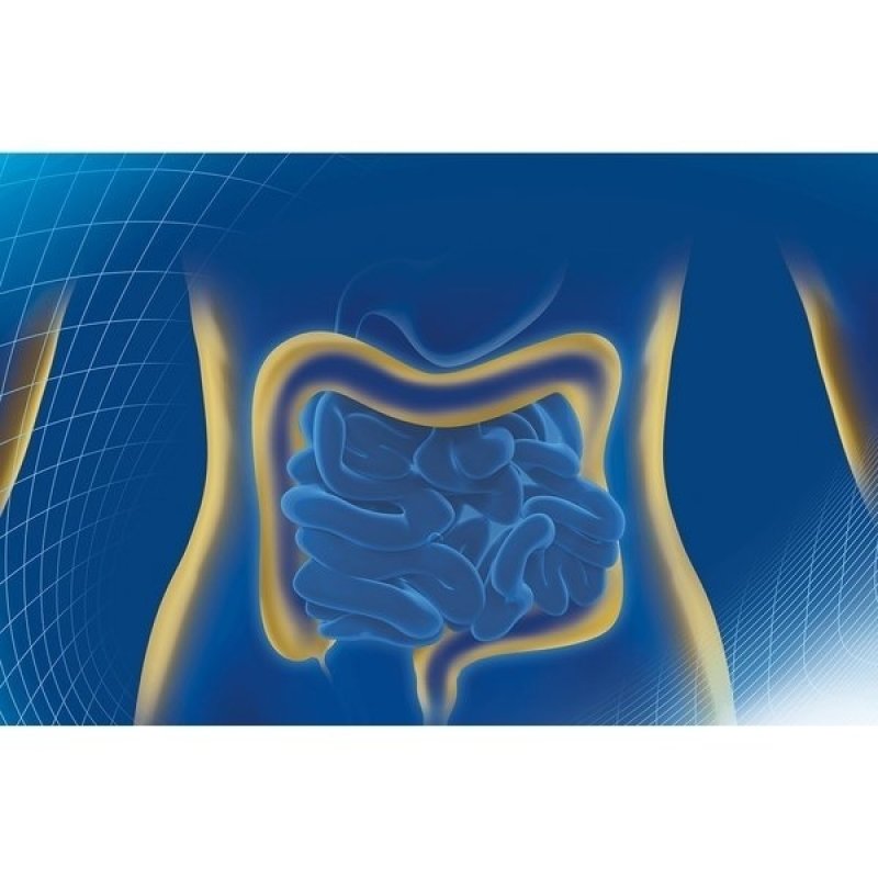 Biopron Premium probiotika a prebiotika při a po užívání antibiotik 30 tobolek od 248 Kč ...