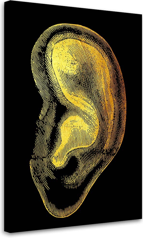 Gario Obraz Zlatá anatómia, ucho - Gab Fernando Rozmery: 40 x 60 cm ...