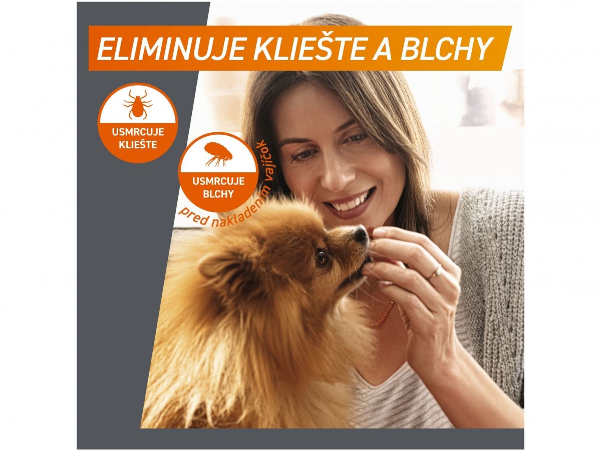 Frontpro 10 - 25 kg 68 mg 3 žuvacie tablety od 36,5 € - Heureka.sk